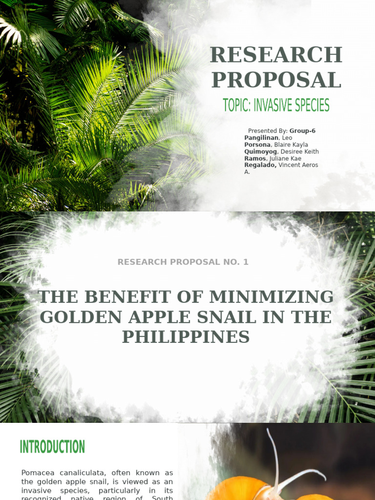 Group 6 Research Proposal | PDF