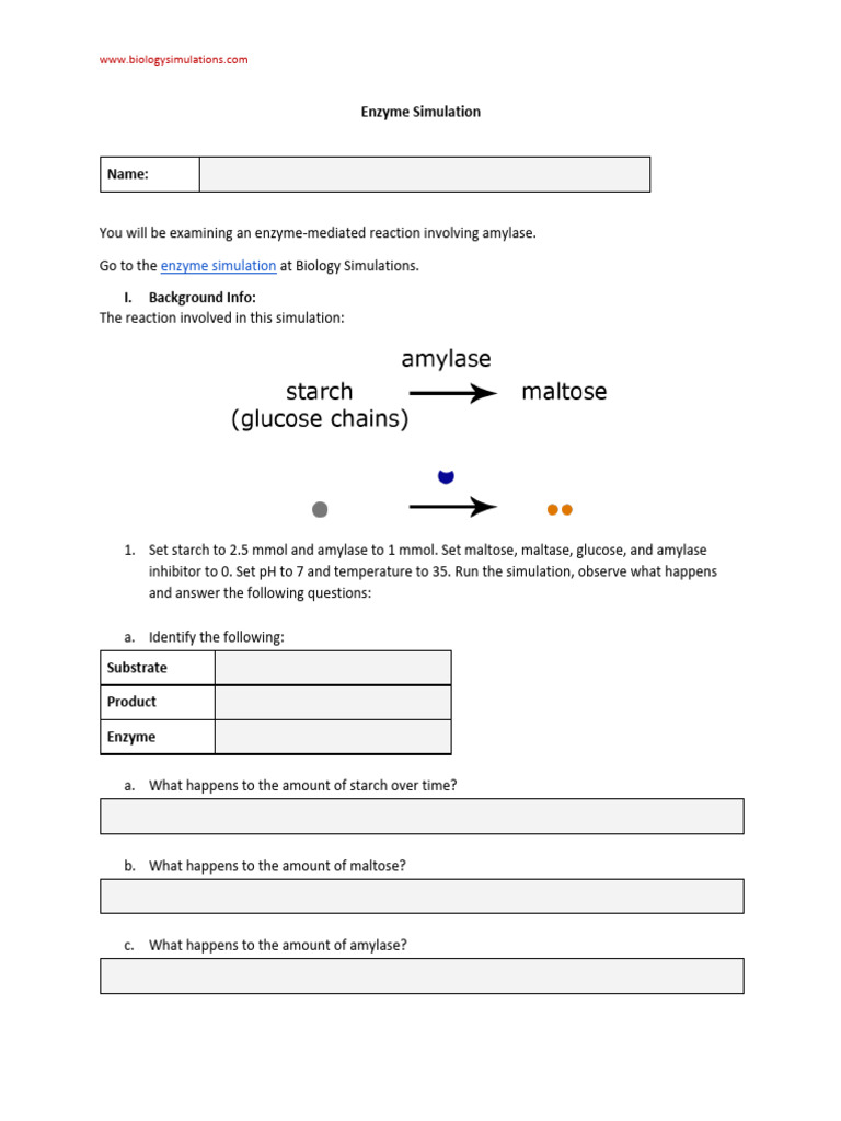 Enzyme Reaction Simulation Guide | PDF | Enzyme | Starch