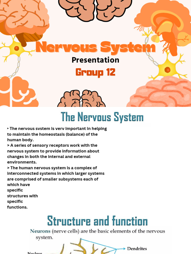 Group Project - 20251127 - 234321 - 0000 | PDF