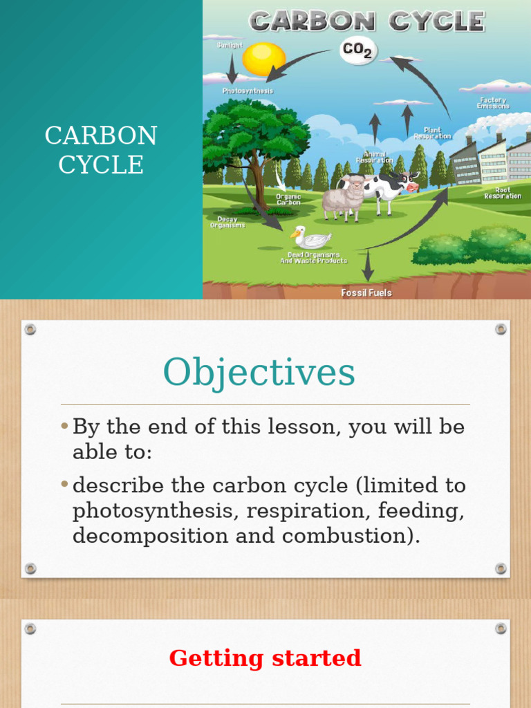 Carbon Cycle | PDF | Carbon | Carbon Cycle