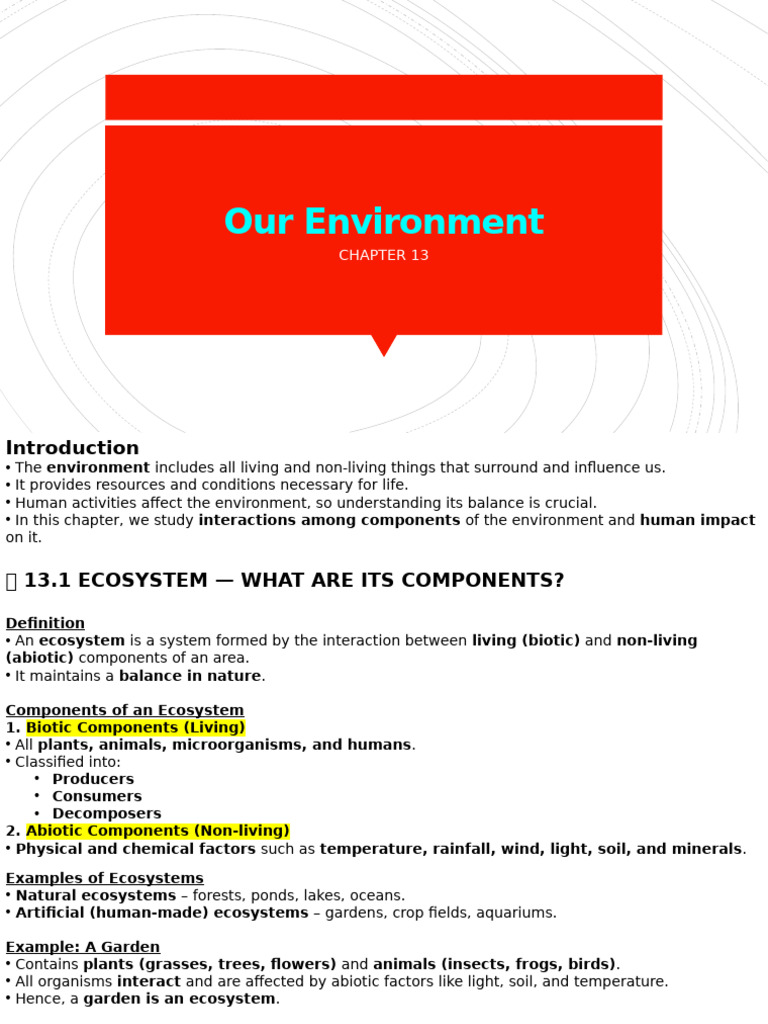 Understanding Ecosystems and Food Chains | PDF | Ozone Depletion | Food Web