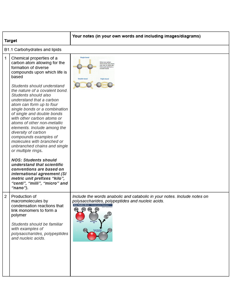 Carbohydrates and Lipids: Structure & Function | PDF | Lipid | Fatty Acid