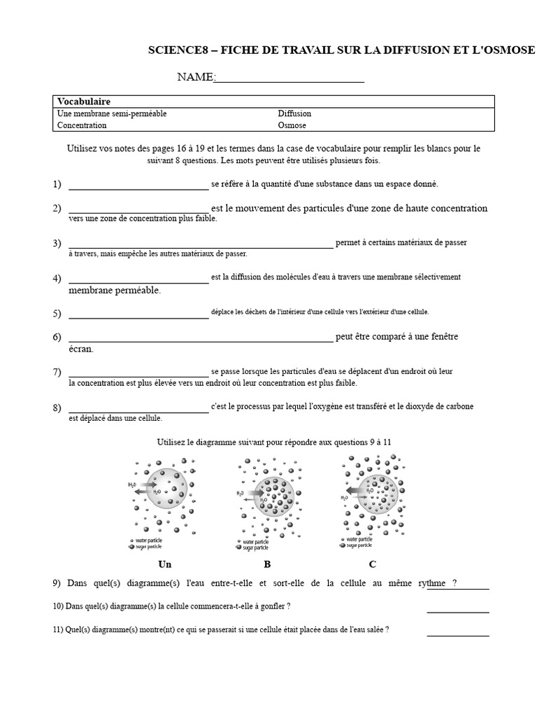 Fiche de Travail Sur La Diffusion Et L'osmose | PDF | Osmose | Membrane ...