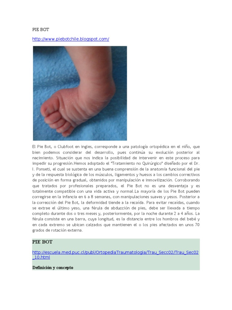 Pie Bot | PDF | Pie | Sistema musculoesquelético