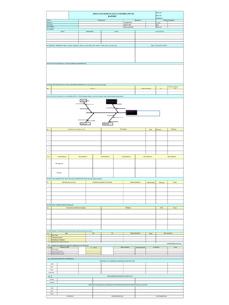 Format Raportu 8D | PDF