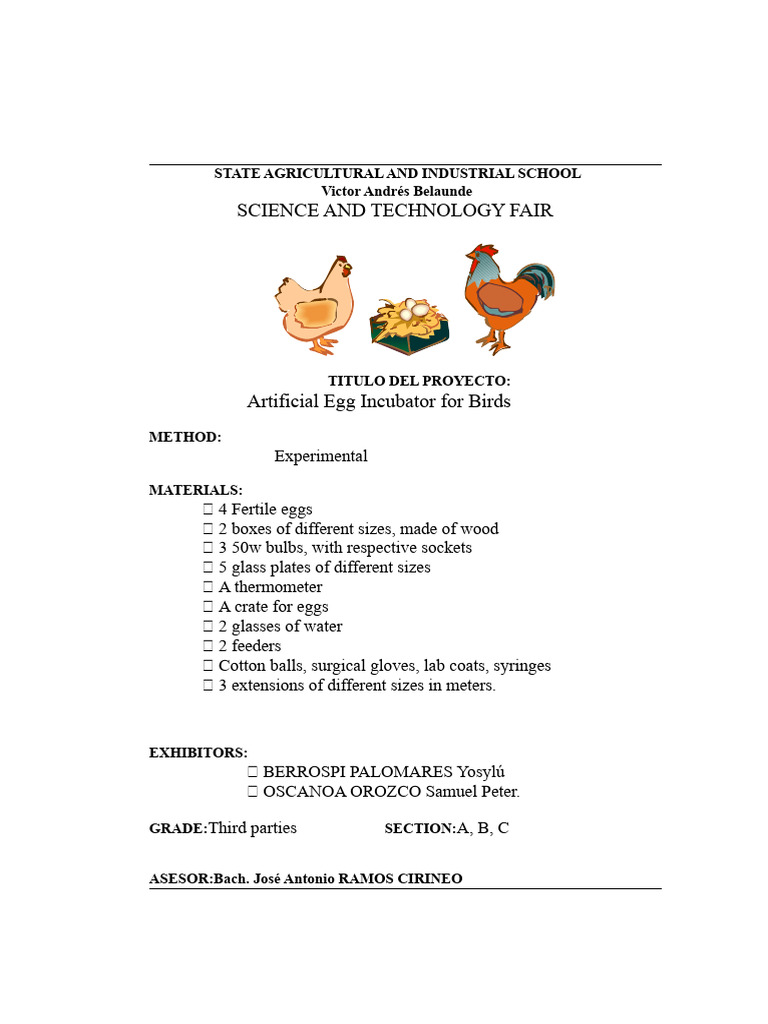 Artificial Egg Incubator Project Overview | PDF | Thermometer | Chicken