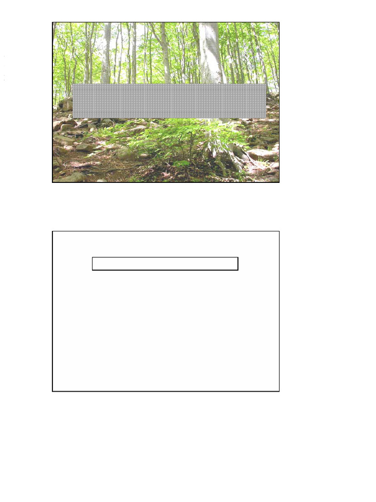 08. Gobierno en Fustaia I Parte | PDF | Los bosques | Germinación