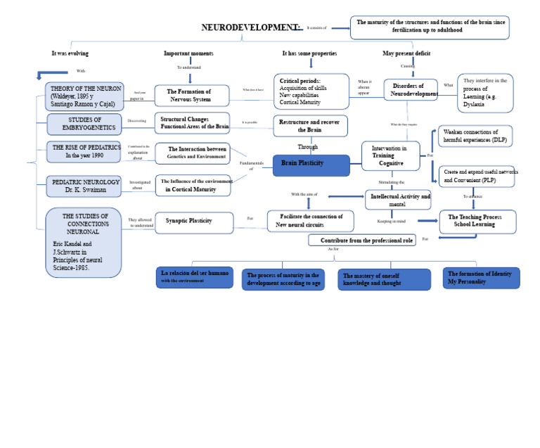 JANIRIS PAYARES - Conceptual Map NEURODEVELOPMENT | PDF ...