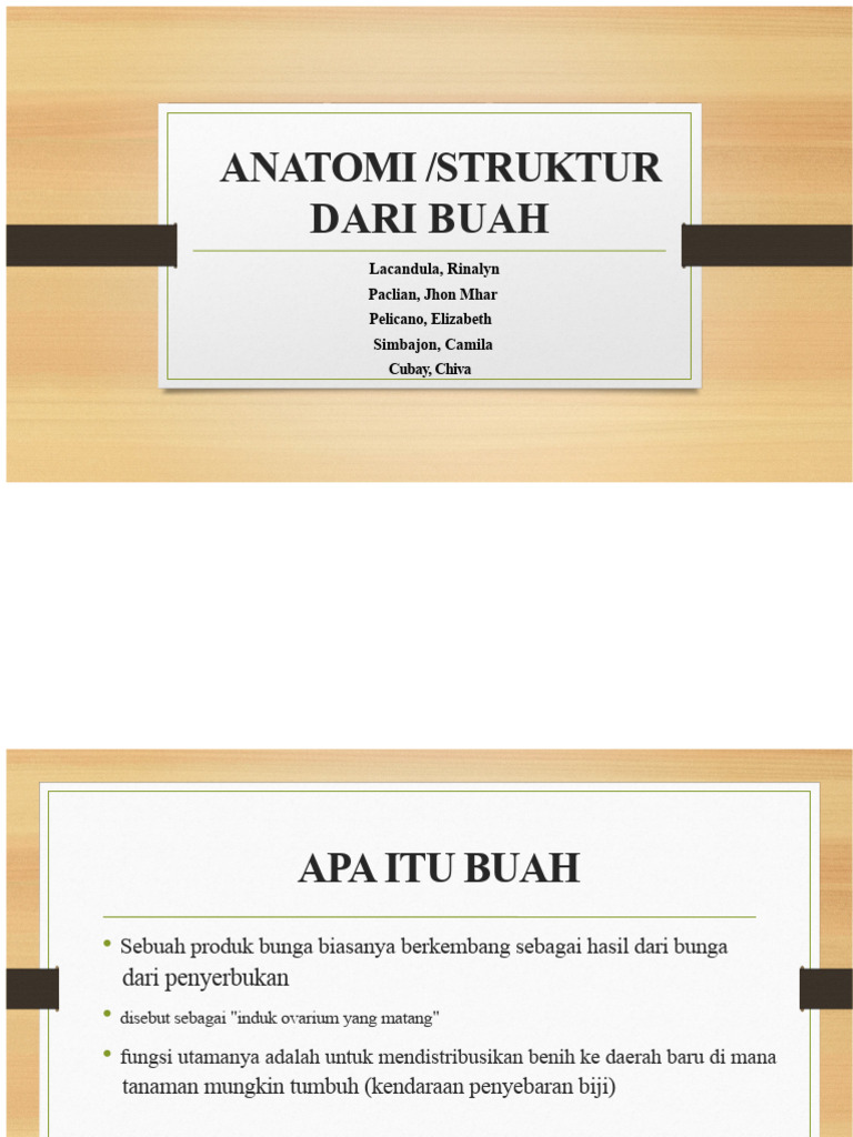 Anatomi Atau Struktur Buah | PDF