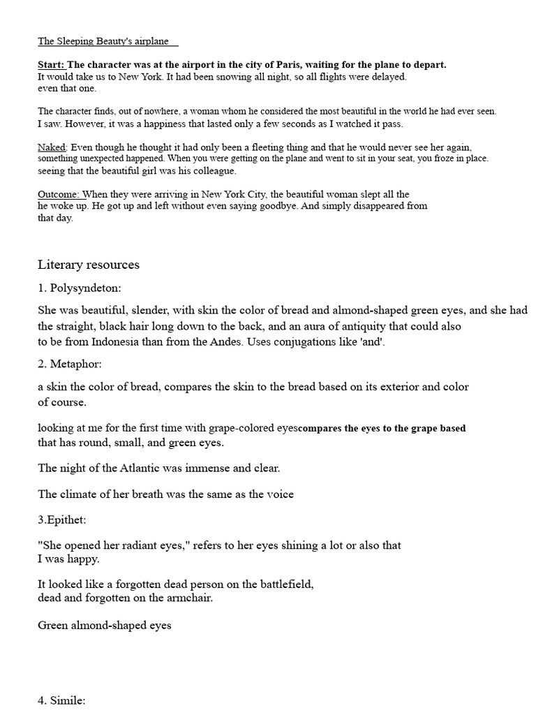 The Airplane of The Sleeping Beauty - ASSIGNMENT | PDF