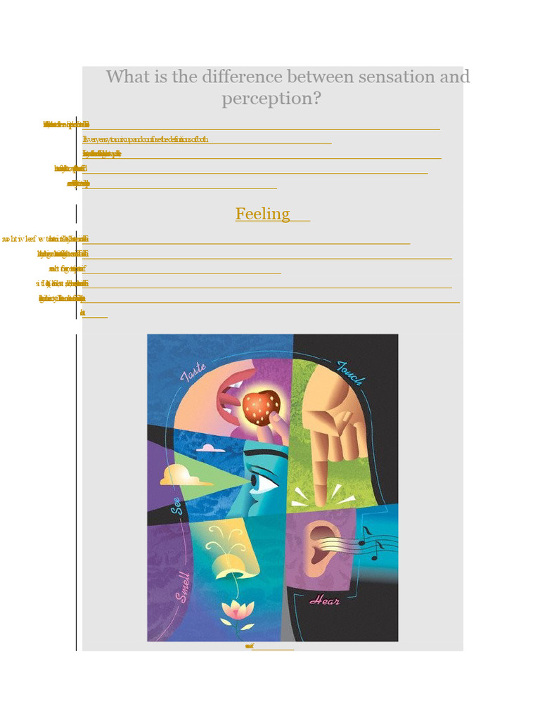 Sensation vs. Perception Explained | PDF | Senses | Perception