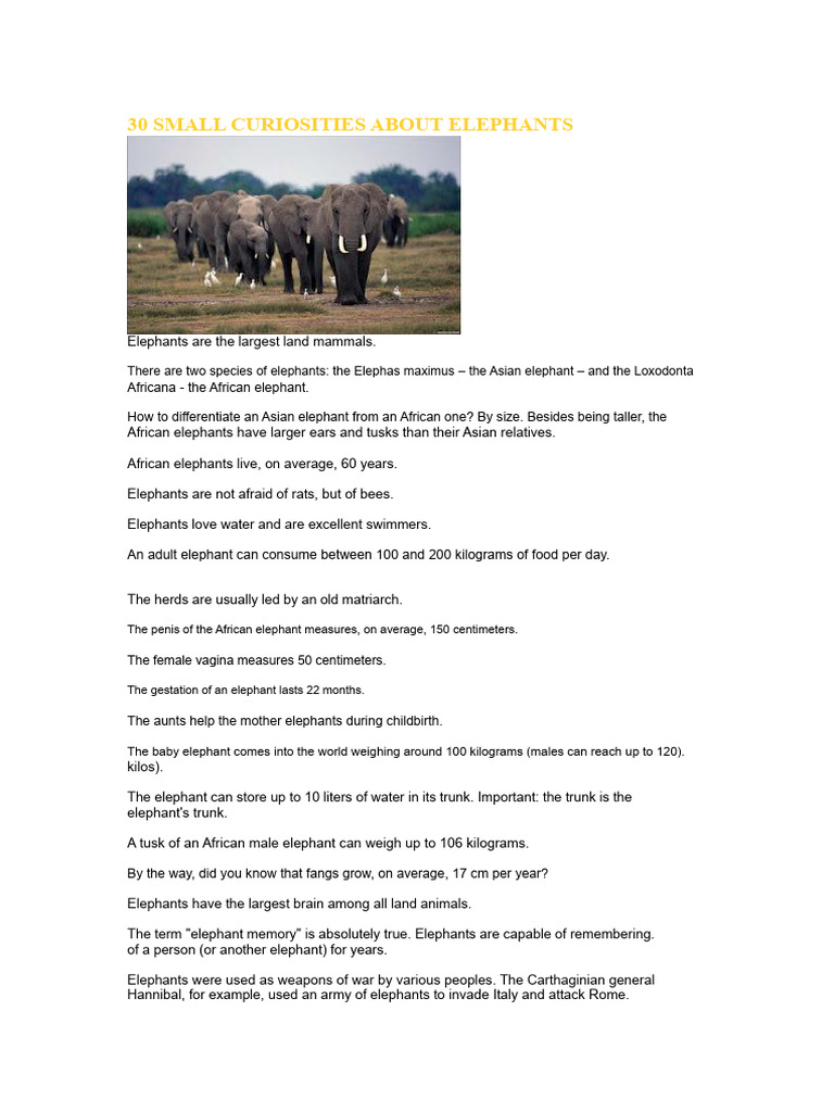 30 Little Facts About Elephants | PDF | Elephant | Giraffe