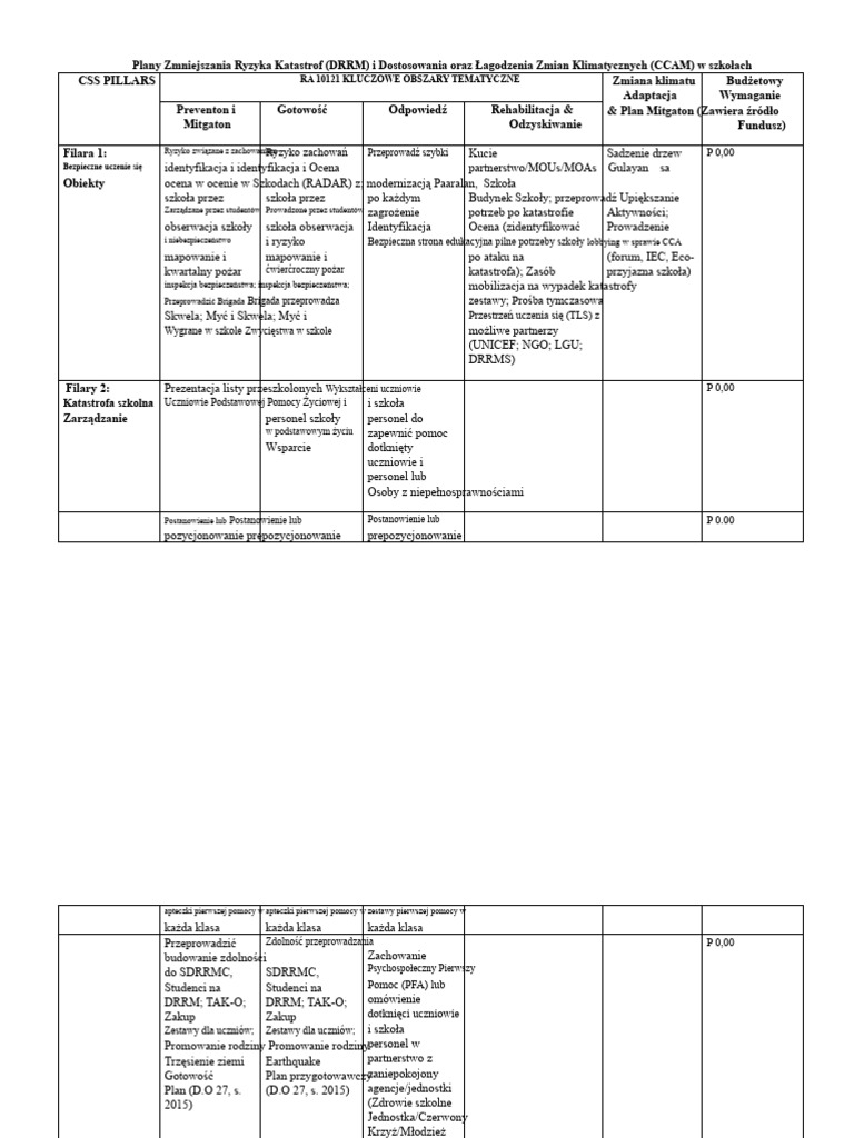 Plan SDRRM (Przykład)-1 | PDF