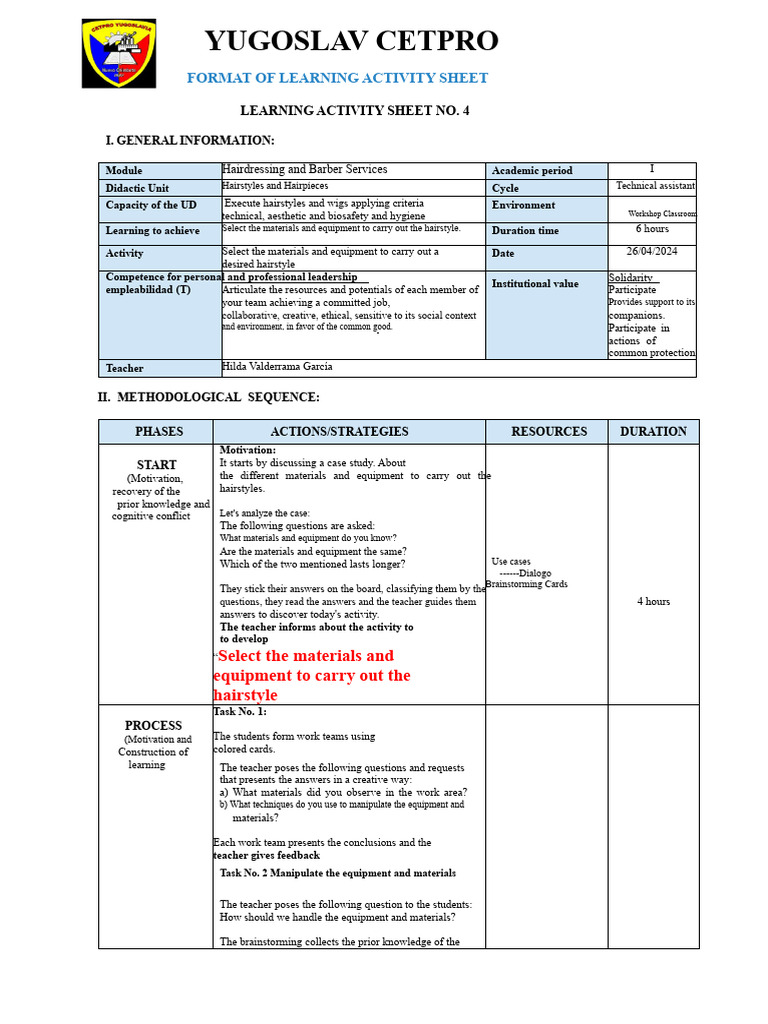 LEARNING ACTIVITY SHEET Nº 4 on hairstyles | PDF | Learning | Metacognition