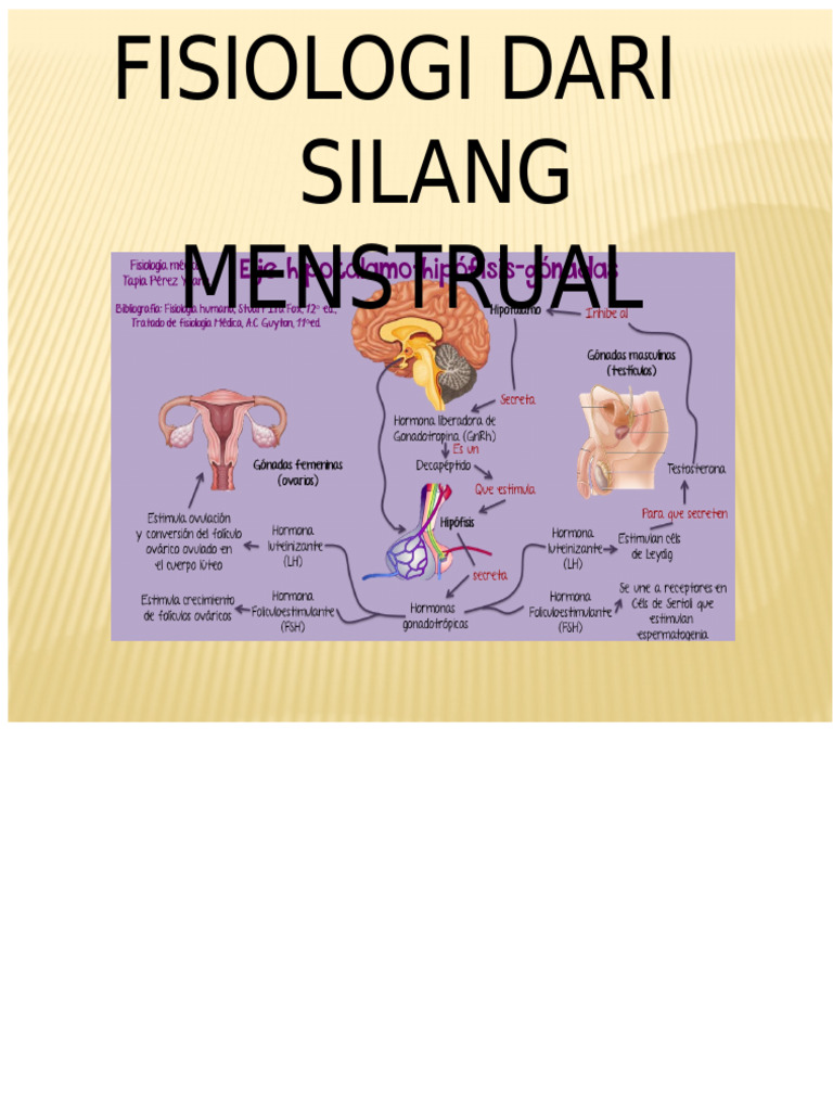 Fisiologi Siklus Menstruasi | PDF