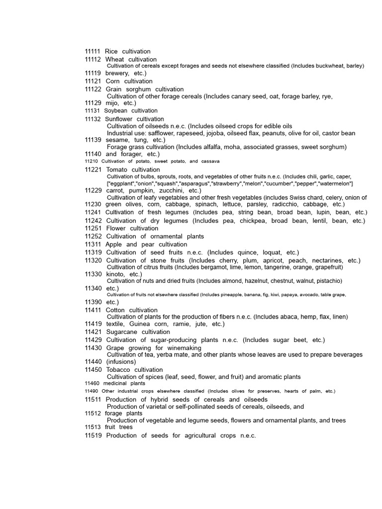 Lists of AFIP Activity Codes | PDF | Textiles | Drink