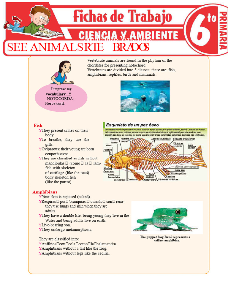 Vertebrate Animals For Fifth Grade of Primary School | PDF ...