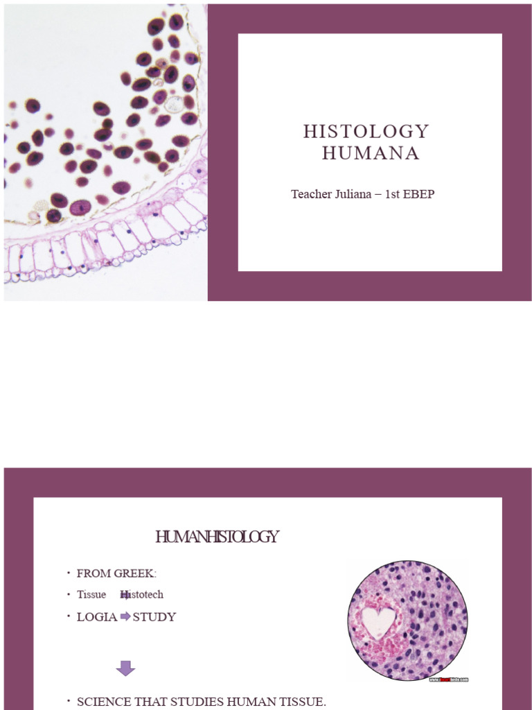 Human histology - epithelial tissue | PDF | Epithelium | Tissue (Biology)