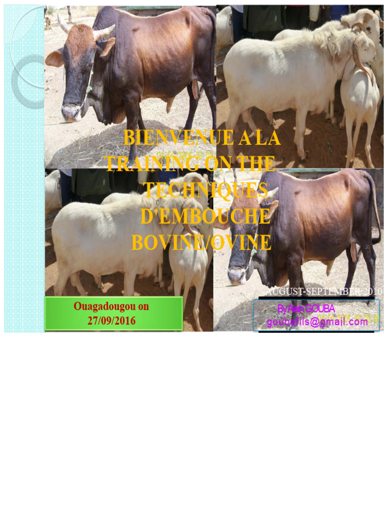 beef-and-sheep-fattening-techniques.pdf | PDF | Cereals | Foods