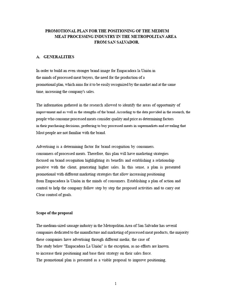 Promotional Plan Example .pdf | PDF | Brand | Marketing