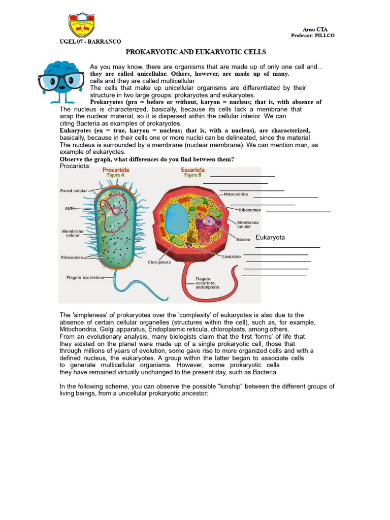 Prokaryotic and Eukaryotic Cells | PDF | Cell (Biology) | Prokaryote