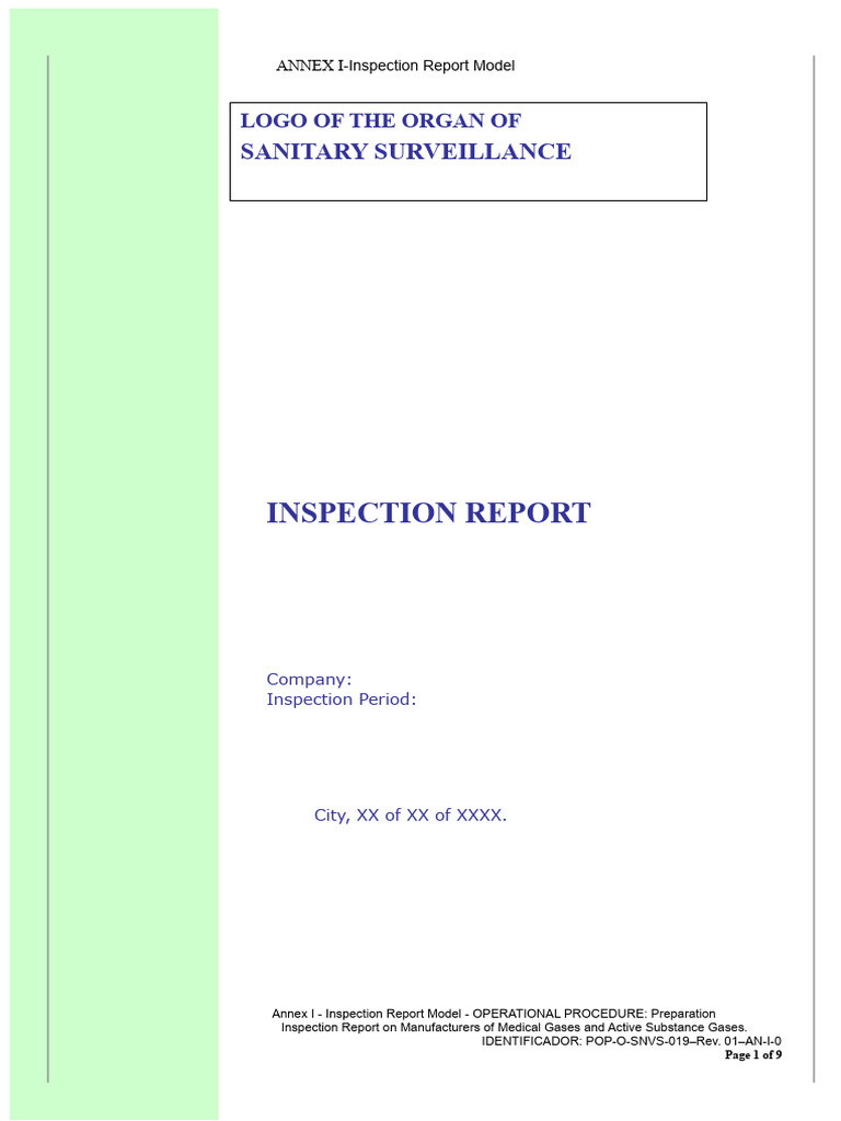 Inspection Report Model Gases Updated | PDF
