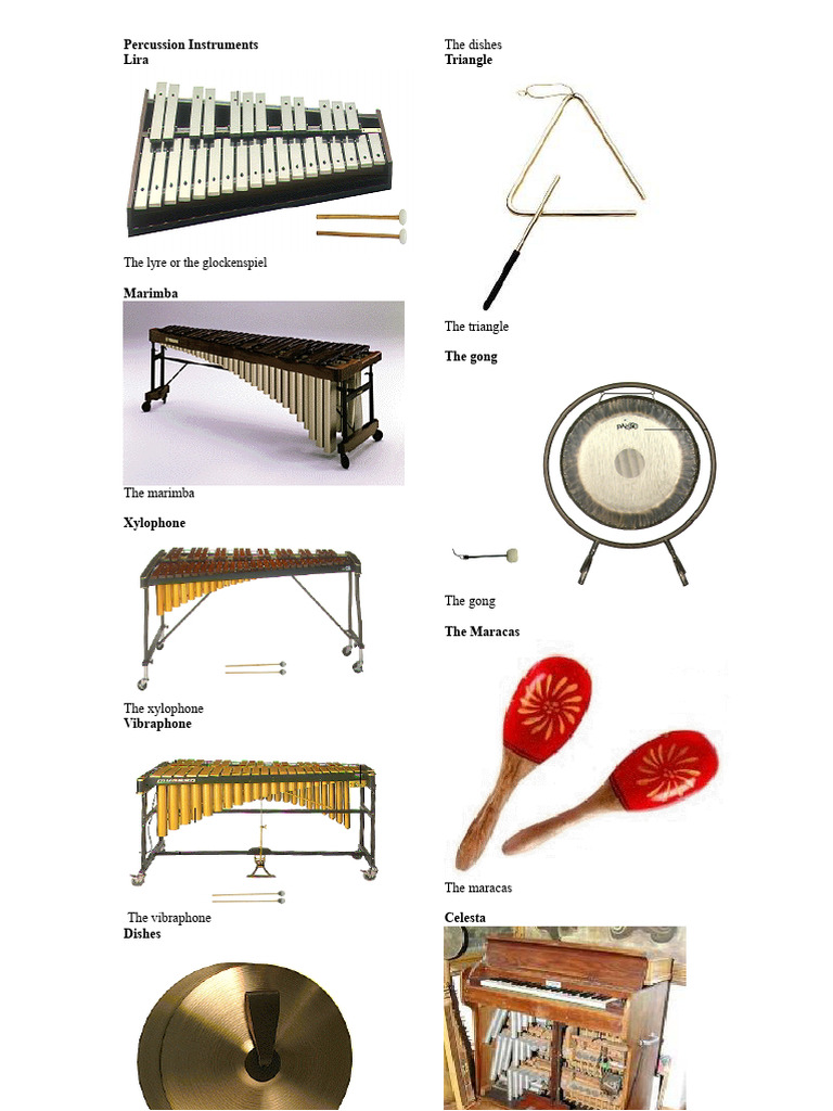 String and Wind Percussion Instruments | PDF | Musical Instruments ...