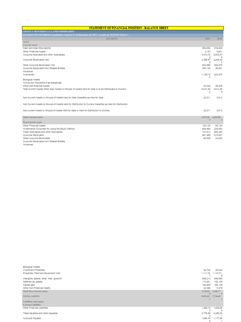 Financial Position Statement Gym | PDF | Balance Sheet | Equity (Finance)