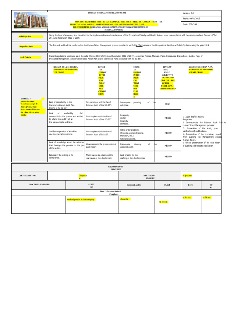 ECI-F-04-Safety and Health Audit Plan | PDF | Audit | Internal Control