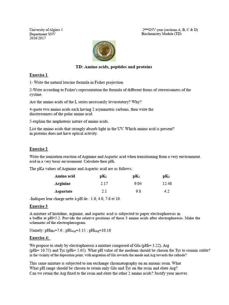 The Proteins | PDF | Amino Acid | Proteins