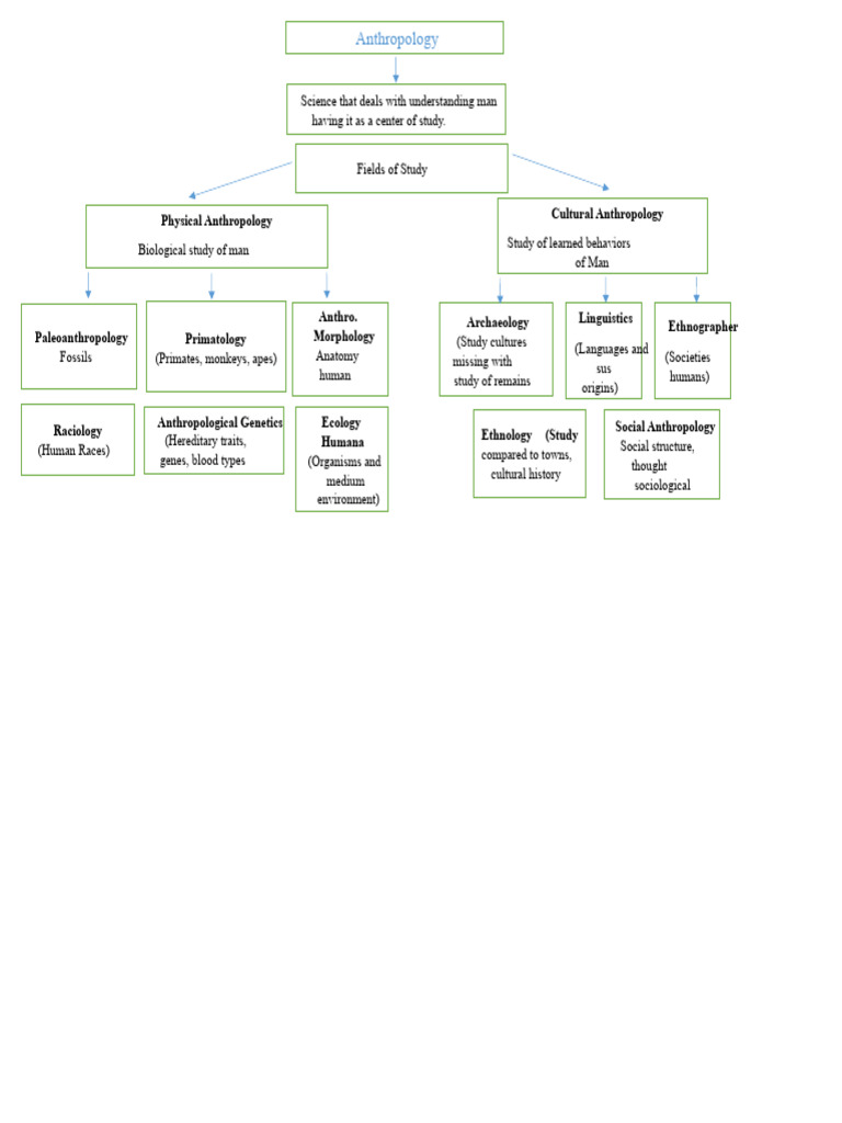 Fields of Study Conceptual Map | PDF | Anthropology | Science