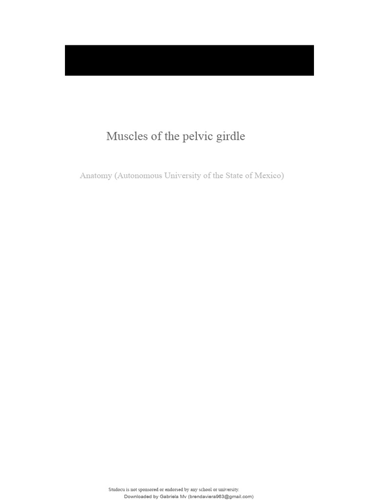 Pelvic Girdle Muscle Anatomy Guide | PDF | Pelvis | Lower Limb Anatomy