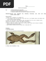 Anatomie des reins et leur vascularisation | PDF | Rein | Foie