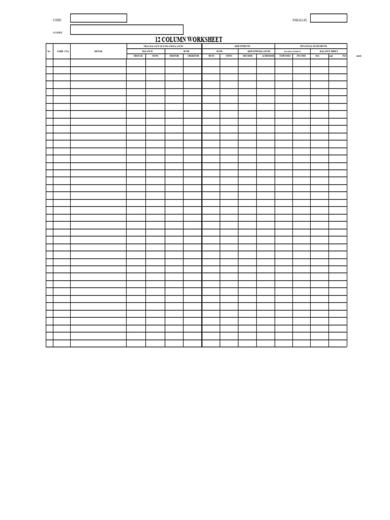12-Column Worksheet Format | PDF