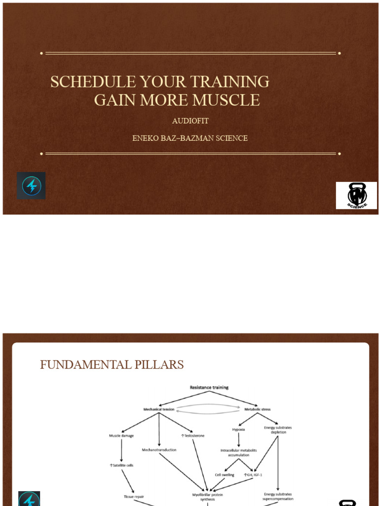 Hypertrophy - Programming | PDF | Strength Training | Management Of Obesity