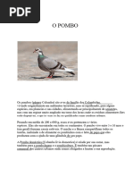 Tabela de Anilhas FOB 2025 | PDF | Aves | Ornitologia