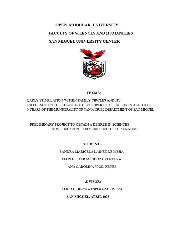 Example Preliminary Project | PDF | Cognition | Methodology