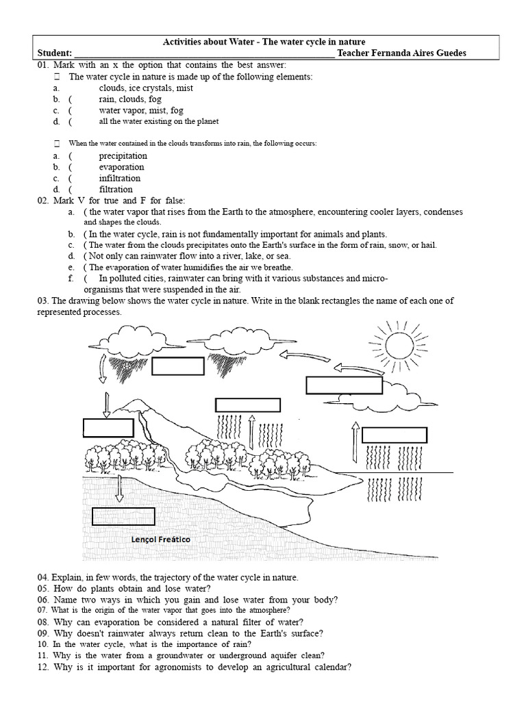 Activities about water - the water cycle in nature.pdf | PDF | Water ...