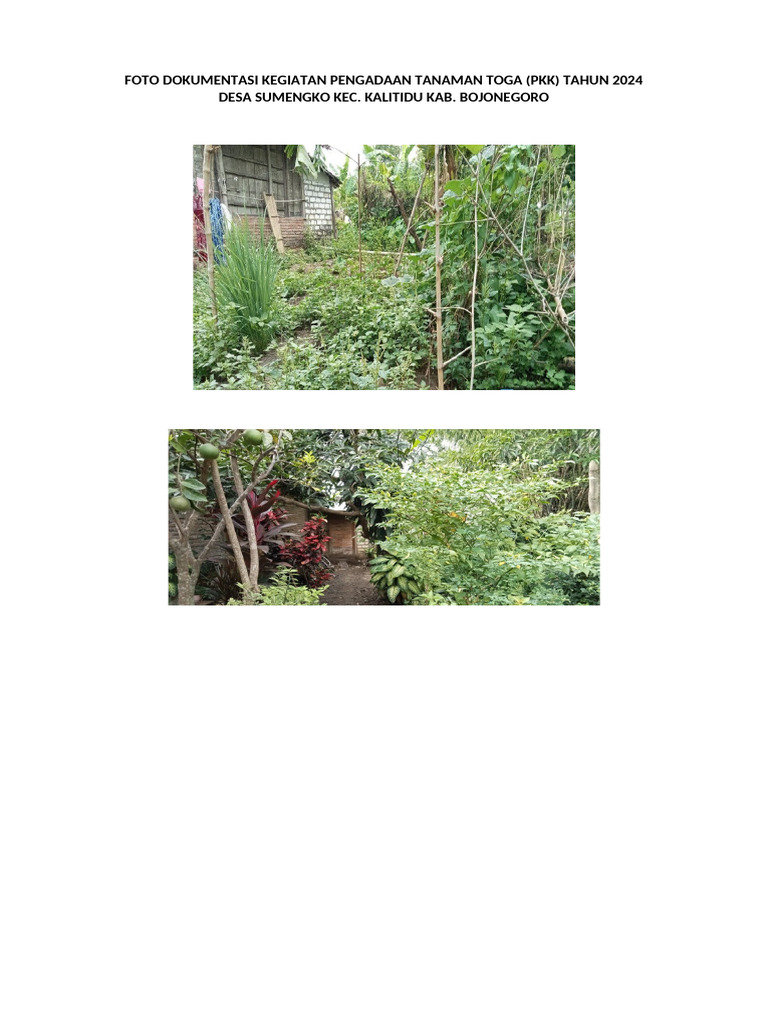 Keg PKK Tanaman Toga 2024 | PDF