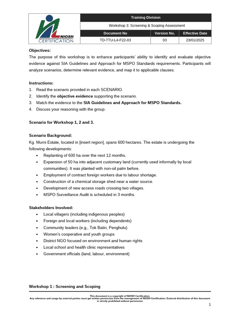 Workshop 3 Screening & Scoping Assessment (For Participant) v2 | PDF ...