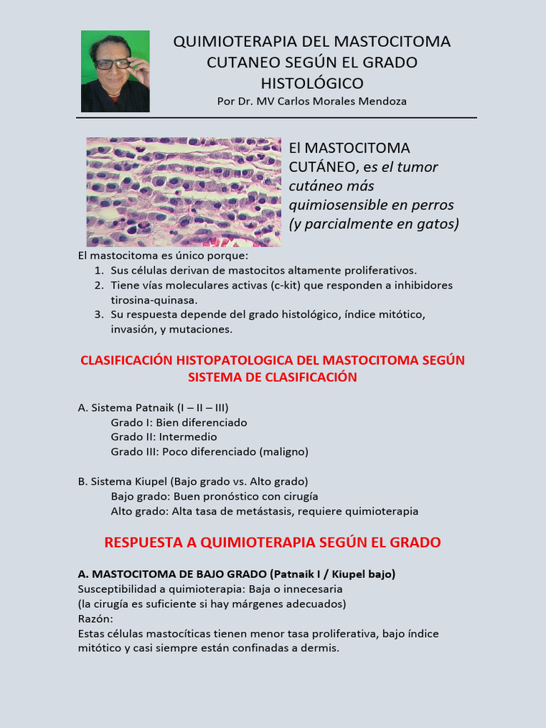 Quimioterapia Del Mastocitoma Cutáneo Según El Grado Histológico | PDF ...