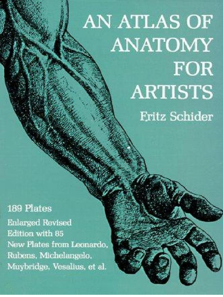 An Atlas of Anatomy For Artists 189 Plates Enlarged Revised Edition ...