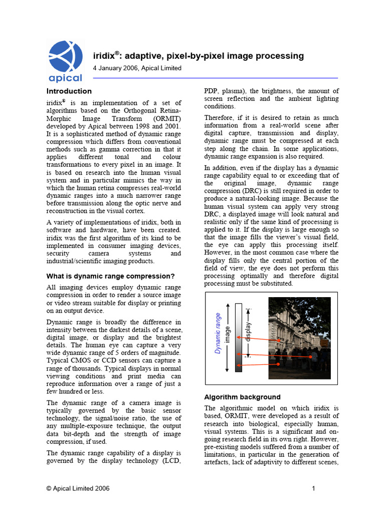 Apical Iridix Overview - Images | PDF | Data Compression | Computer Graphics