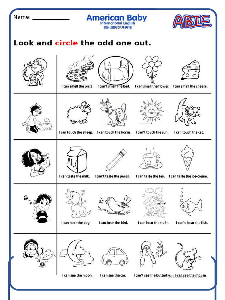 Homework L1-37 Senses | PDF