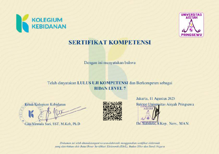 Serkom Compressed | PDF