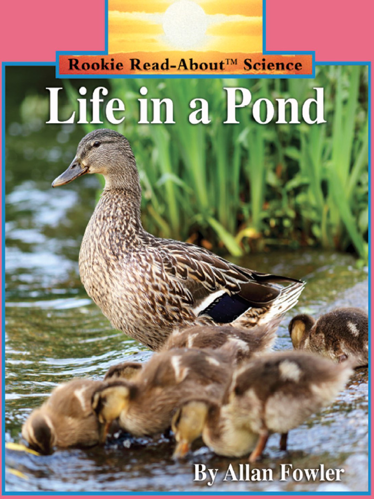 Life in A Pond | PDF