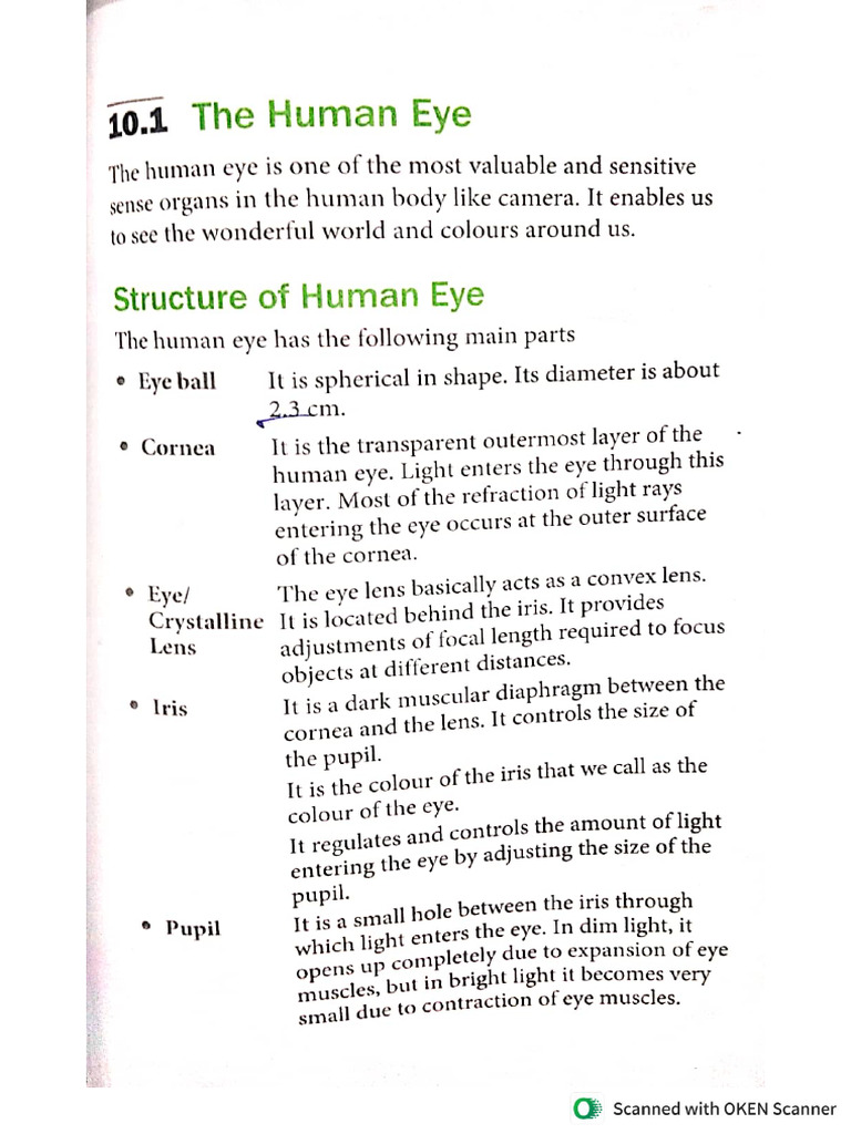 Eye | PDF