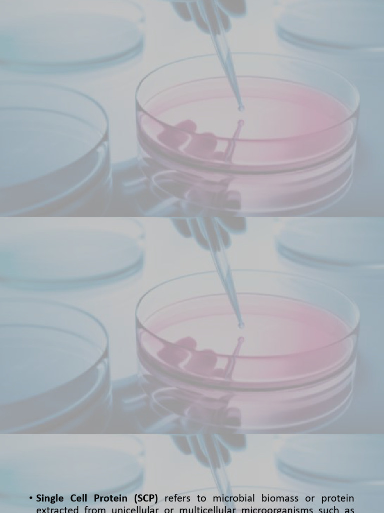 Lecture 10-Single Cell Protein Production | PDF | Microorganism | Biology