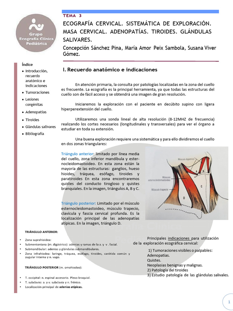 Ecografía cervical: exploración y diagnóstico | PDF | Tiroides ...