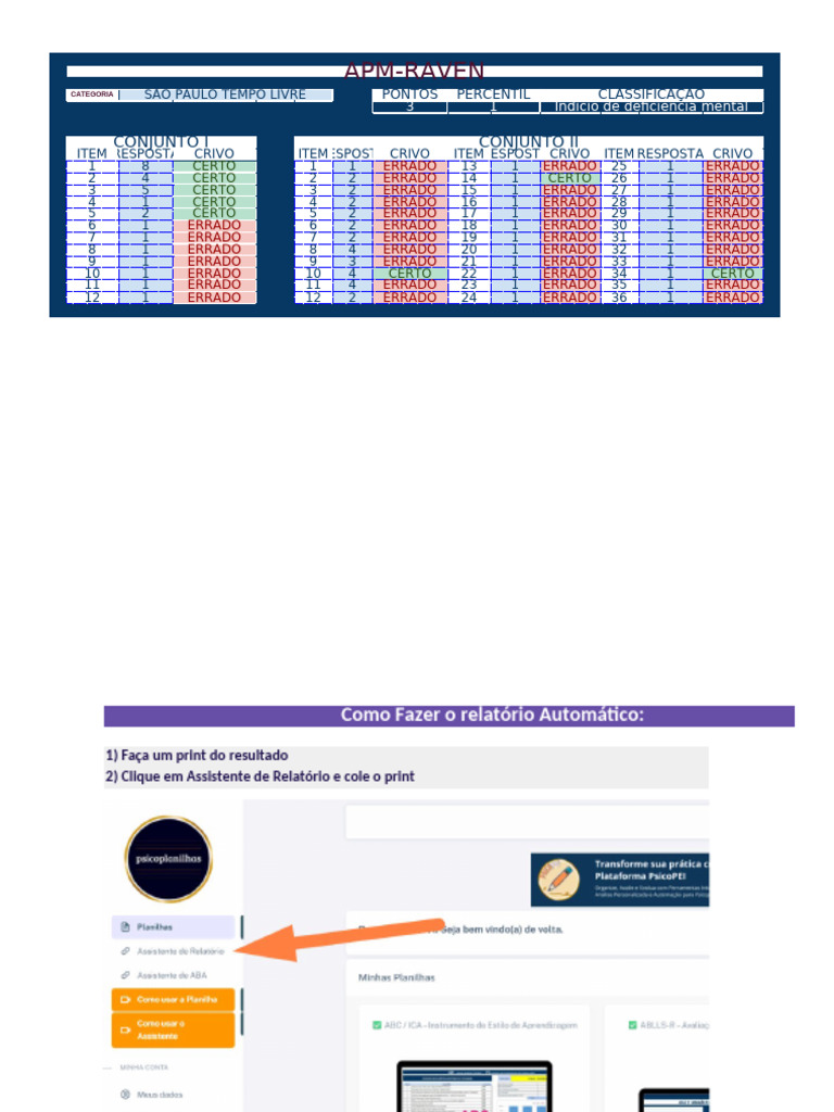 APM-RAVEN. | PDF